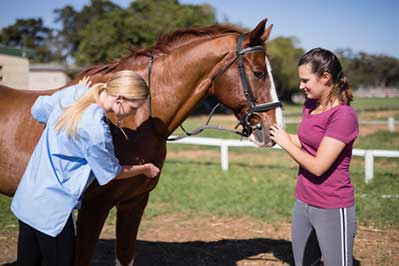 COPD in Horses | Jacqui Broderick | The Grooms List